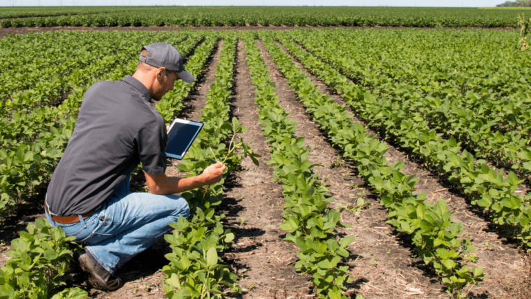 What is Crop Protection Legislation